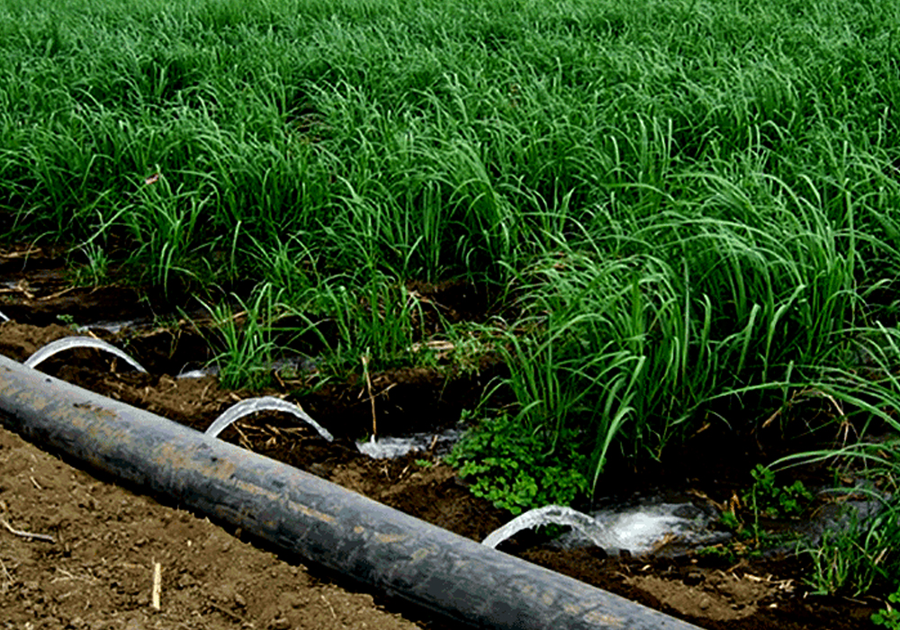 Pipe|Polyethylene|Hydroflume - Aria Plastic Industries